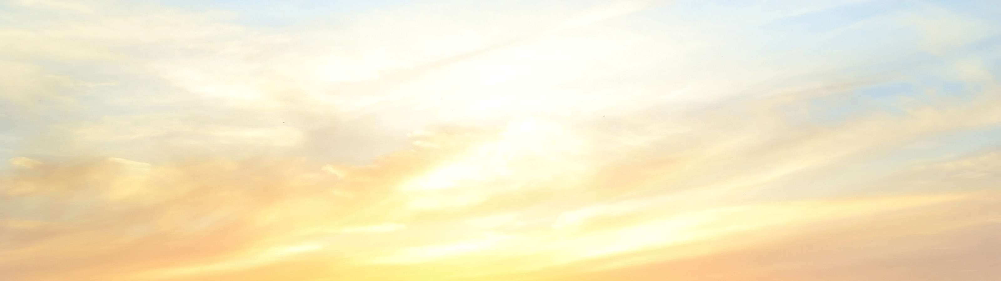 Safedock FleX - Advanced Visual Docking Guidance System - ADB SAFEGATE